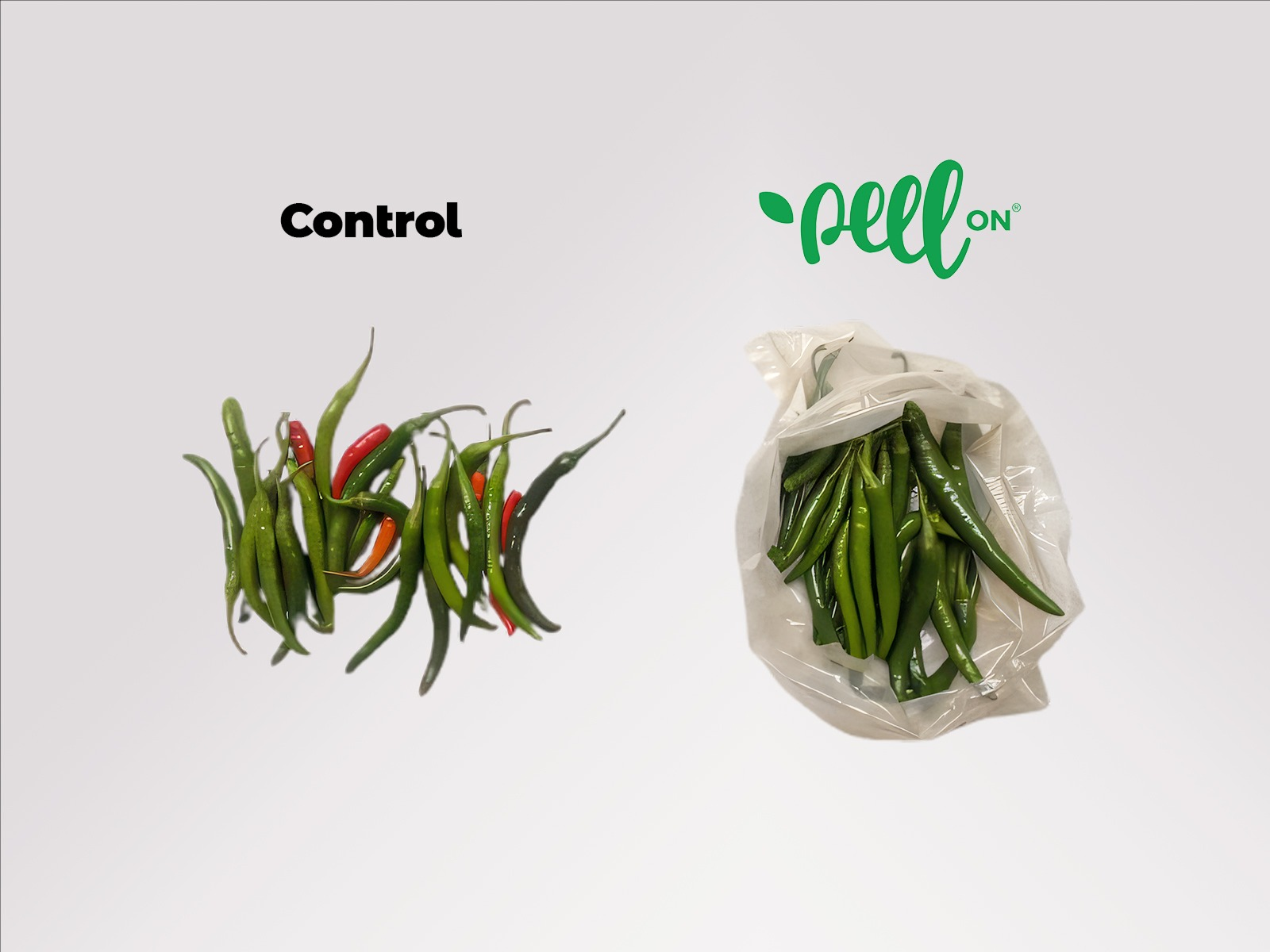 PeelON | PeelON